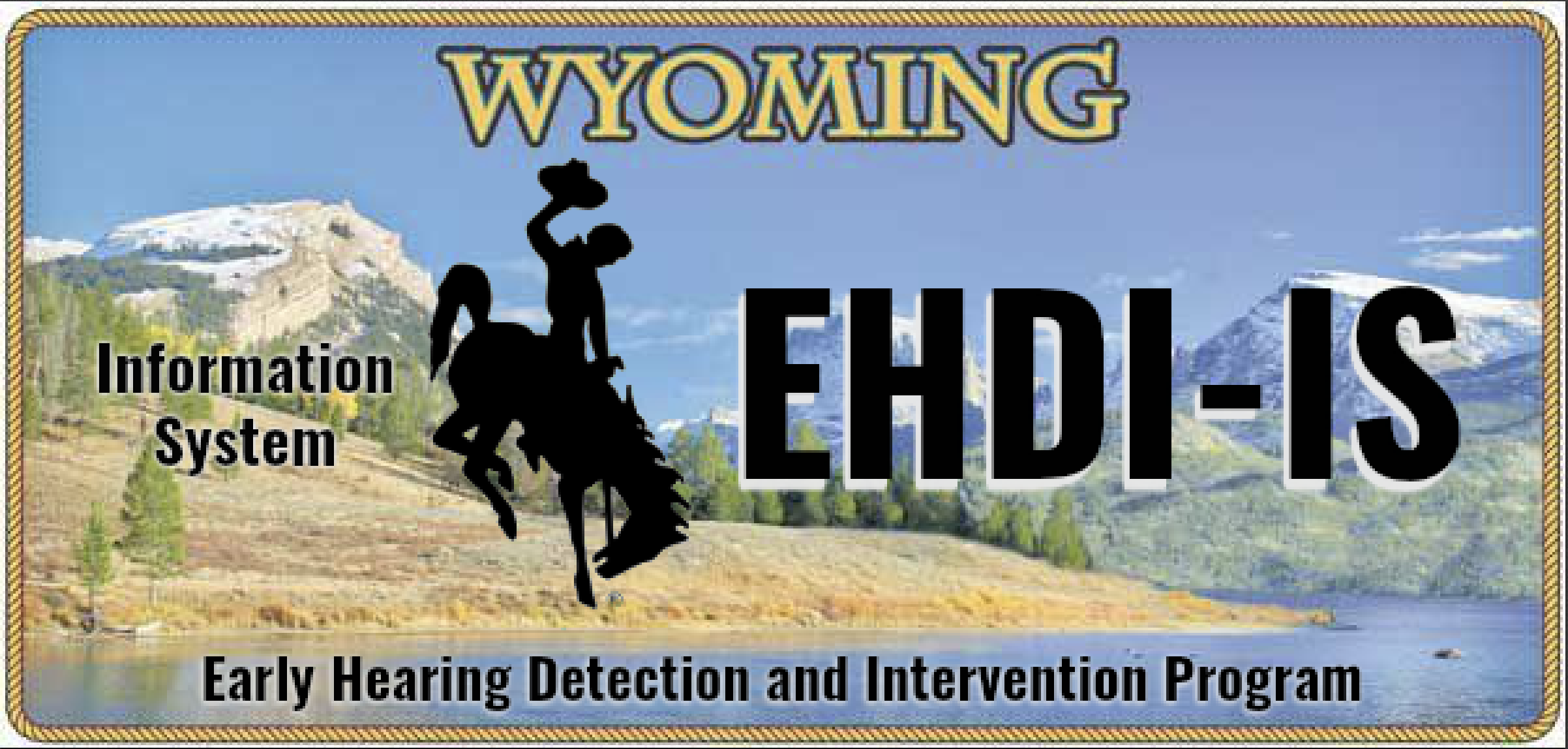 EHDI-IS Overview - Wyoming EHDI